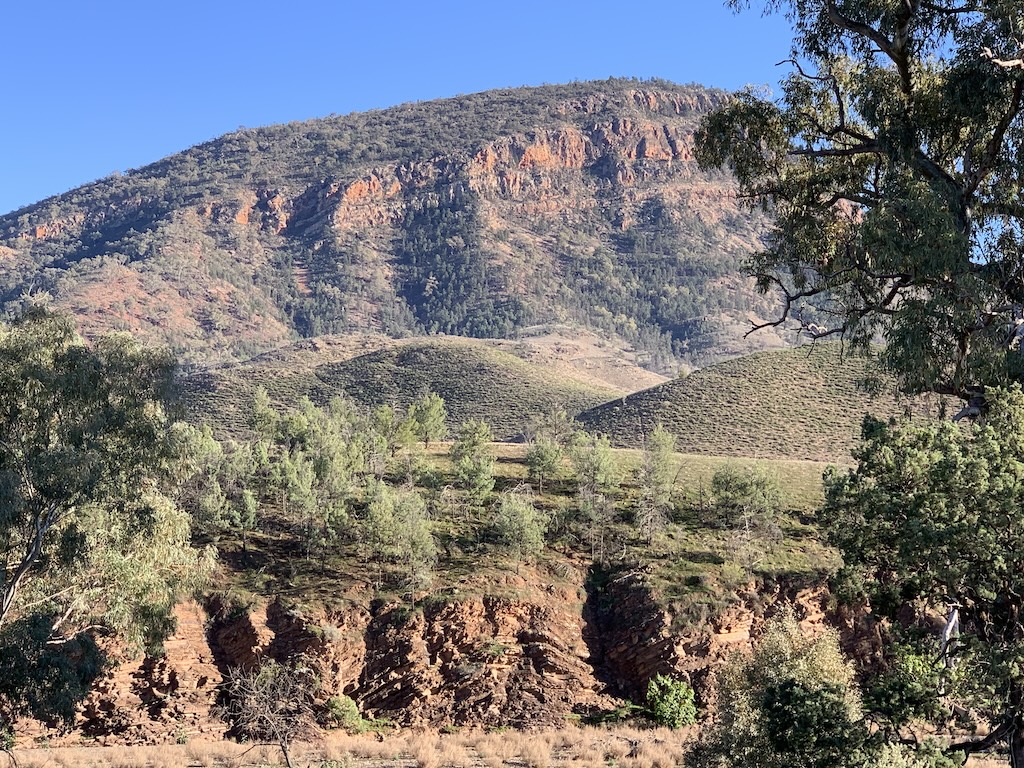 Blog 8 - Flinders Ranges - Arkaroola to Willow Springs Station - De ...